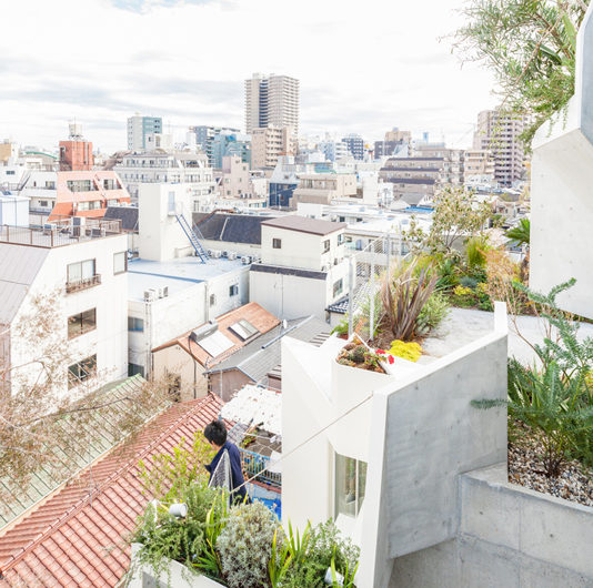 Tree-ness House / Akihisa Hirata Architecture Office - Arkitektuel