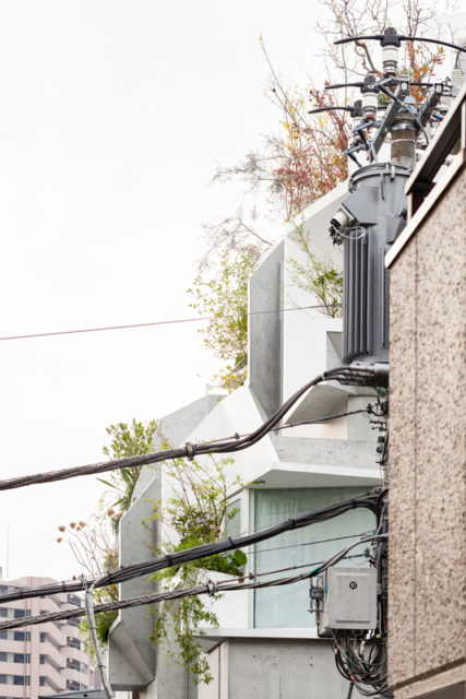 Tree-ness House / Akihisa Hirata Architecture Office - Arkitektuel