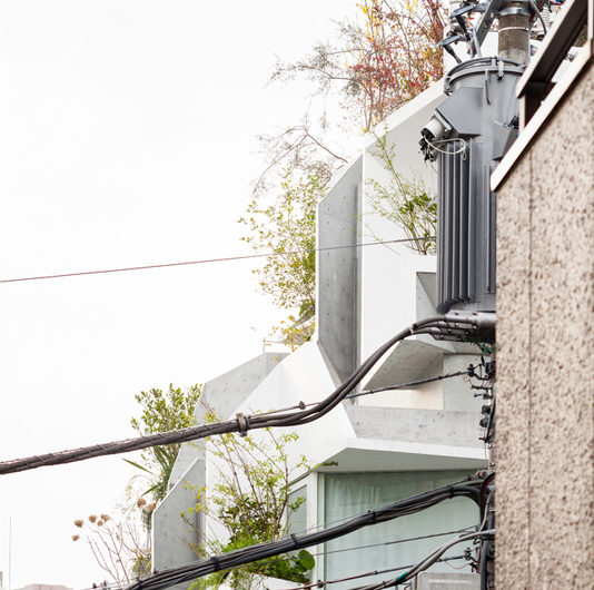 Tree-ness House / Akihisa Hirata Architecture Office - Arkitektuel