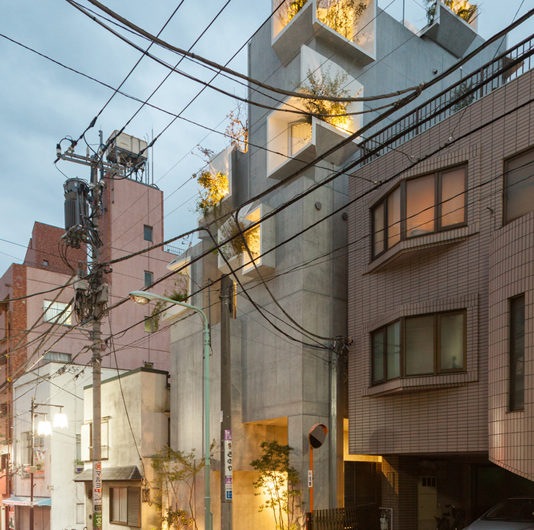 Tree-ness House / Akihisa Hirata Architecture Office - Arkitektuel