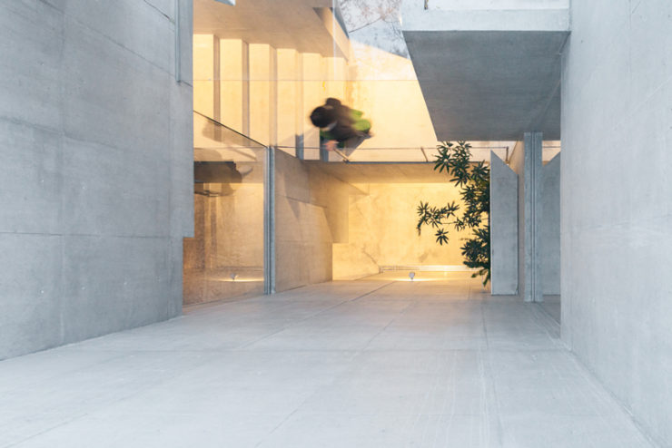 Tree-ness House - Arkitektuel