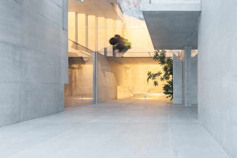 Tree-ness House - Arkitektuel