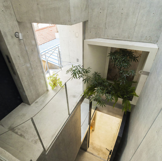 Tree-ness House / Akihisa Hirata Architecture Office - Arkitektuel